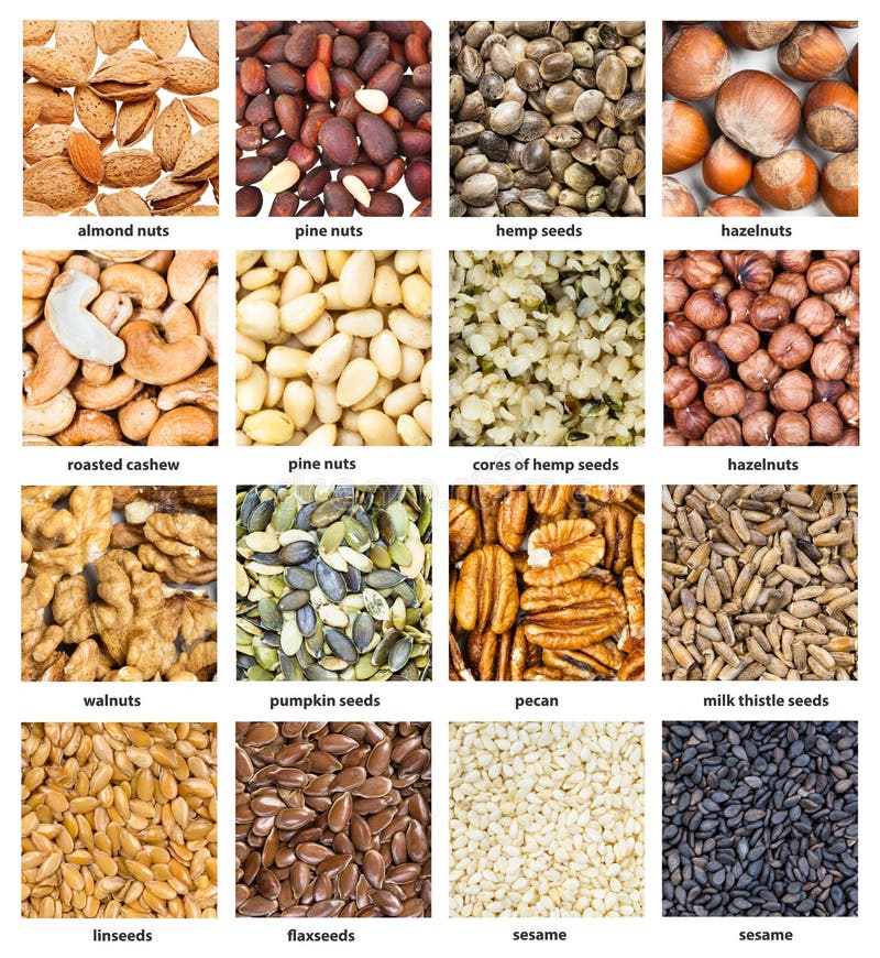 Set of Various Seeds and Grains in Bowl with Names Stock Photo - Image ...