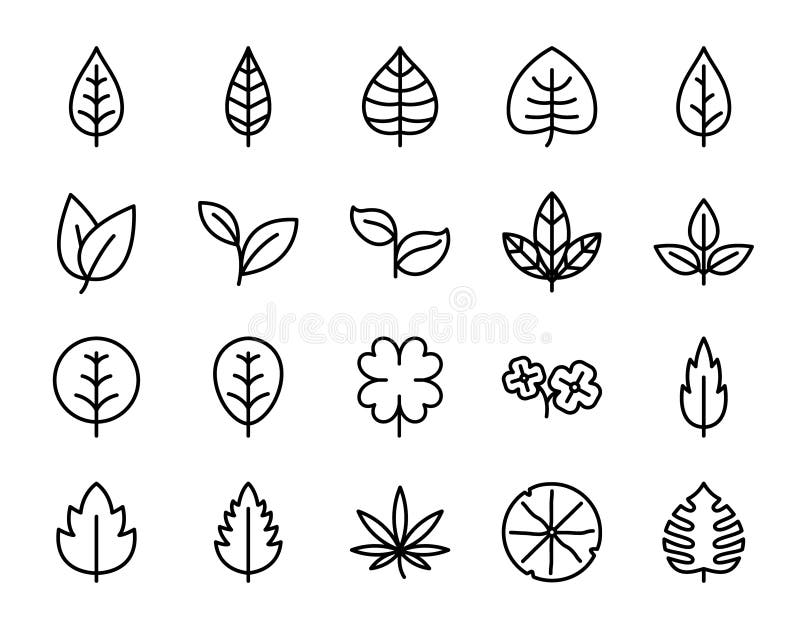 Various Shape Leaf Icons Set Stock Vector - Illustration of ...