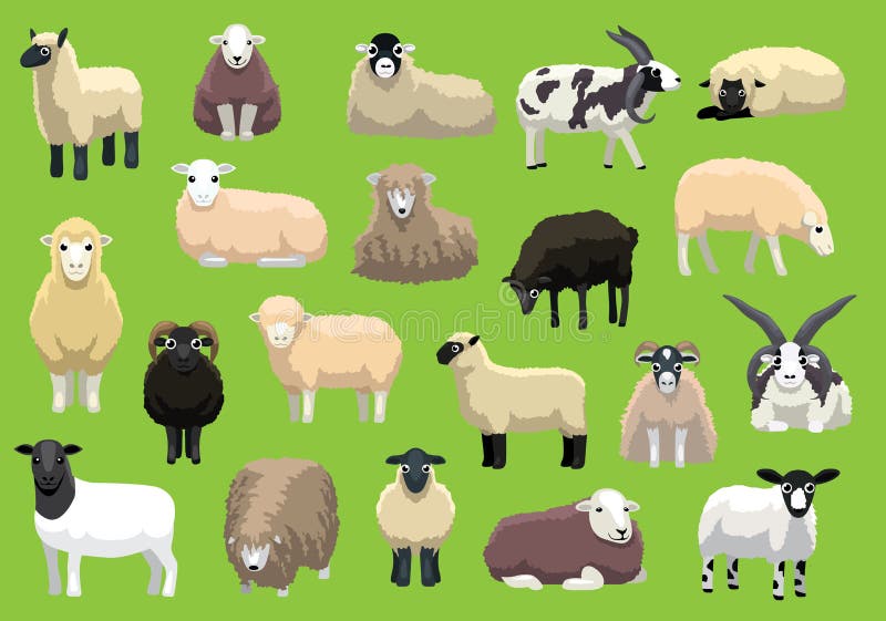 Jacob Sheep Stock Illustrations – 73 Jacob Sheep Stock Illustrations ...