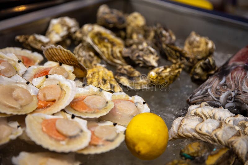 Various Shell fish on Ice stock image. Image of destination - 388896109