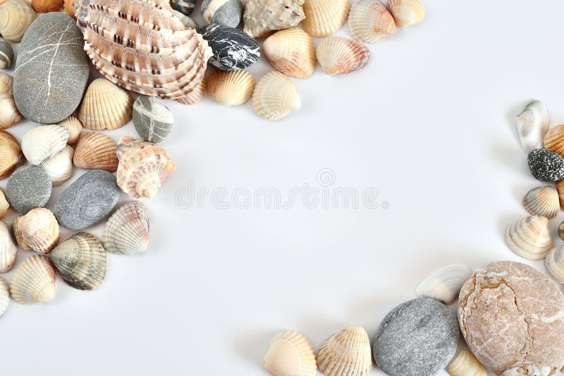 Various Shells and Pebbles on a Light Background Stock Image - Image of ...