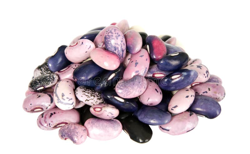 Various Sizes and Colors Beans Stock Photo - Image of agriculture ...