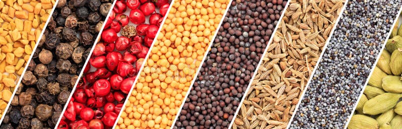 Various Spice Seeds Collage Stock Image - Image of cardamom, chilli ...