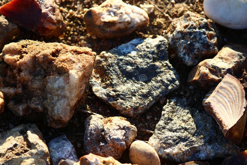 Various Stones Collected on Sand Pit, Rockhounding Stock Photo - Image ...