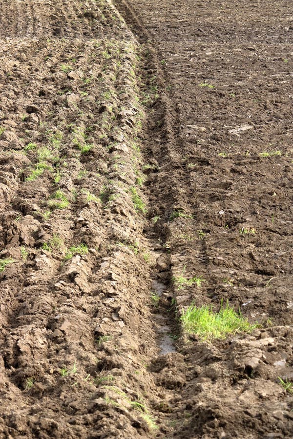Various Tillage Methods stock image. Image of planting - 118909257