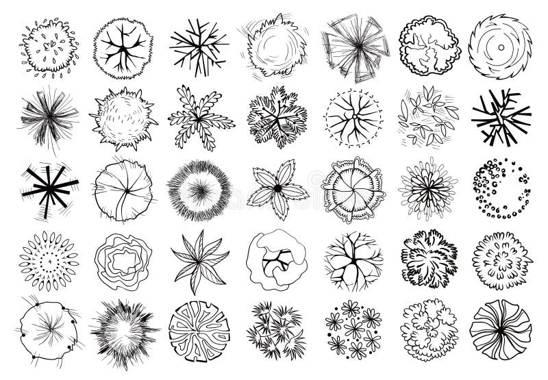 Various Trees, Bushes and Shrubs, Top View for Landscape Design Plan ...