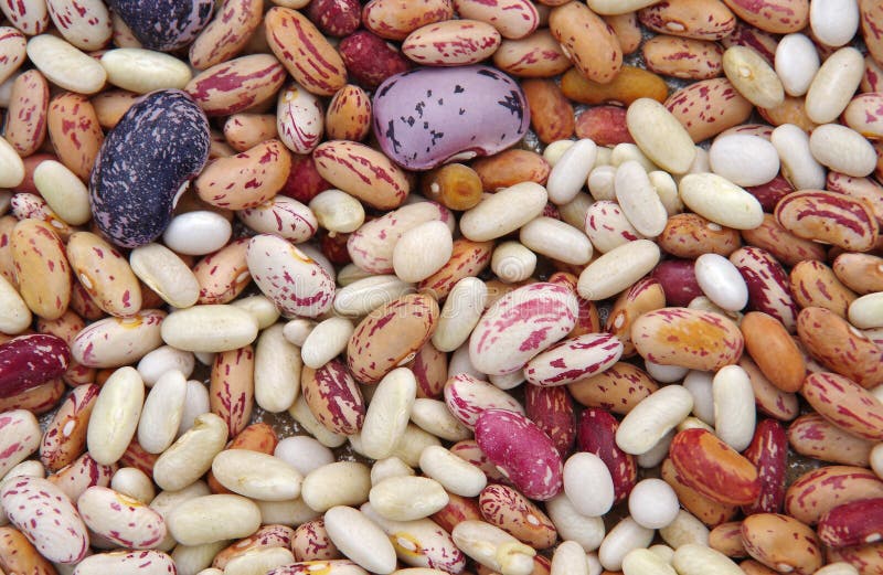 Different Types Mottled Beans Stock Photos - Free & Royalty-Free Stock ...