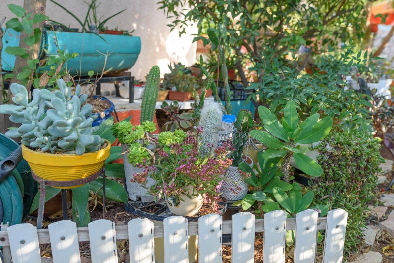 Side View of Various Types of Green Plants. Stock Image - Image of ...