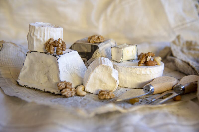 Various Types of Cheese with White Mold on Packaging Paper. Stock Image ...