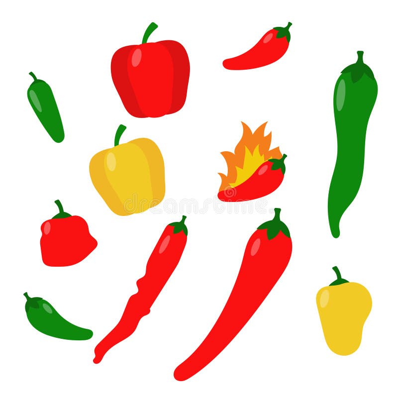 Various Types of Chili Pepper Vector Illustrations with Flat Style ...