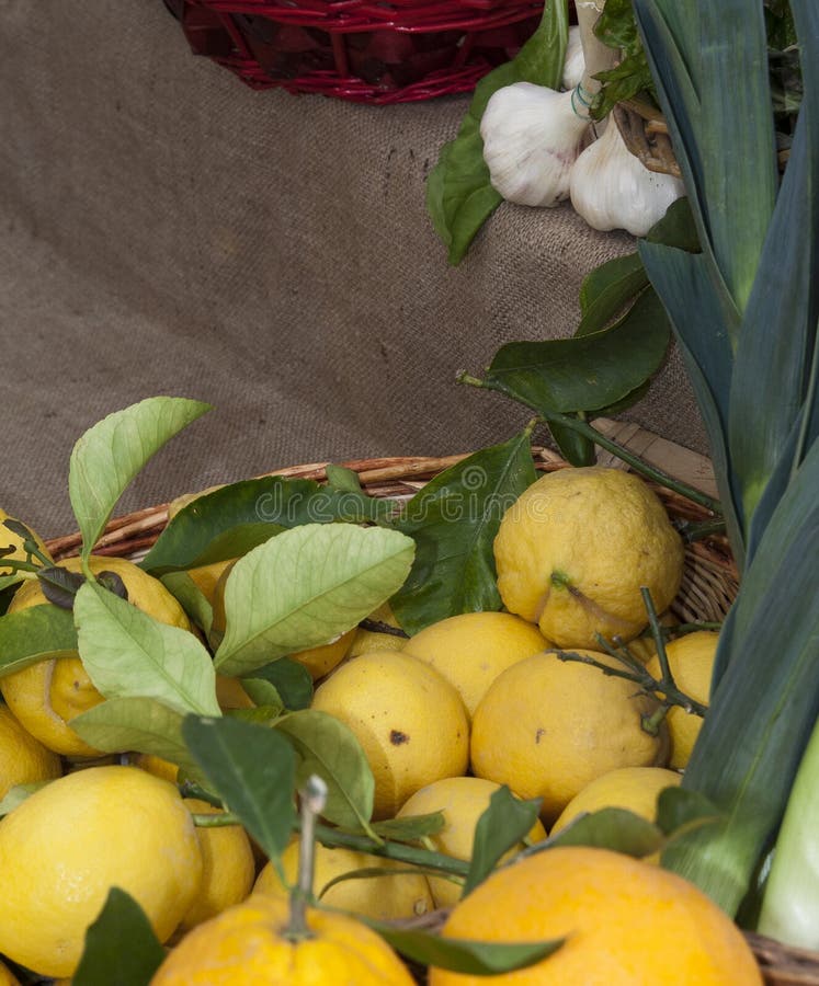 Various types of citron stock image. Image of regional - 53955669