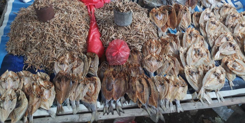 Various Types of Dried Fish Stock Photo - Image of fish, food: 223505820