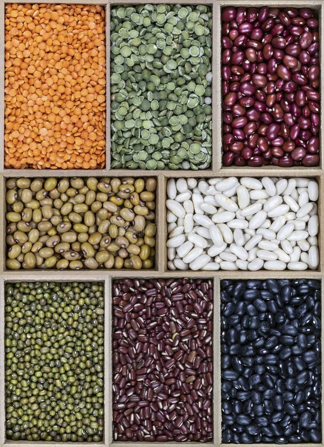 Various Types of Dried Vegetables in Rectangular Wooden Boxes Stock ...