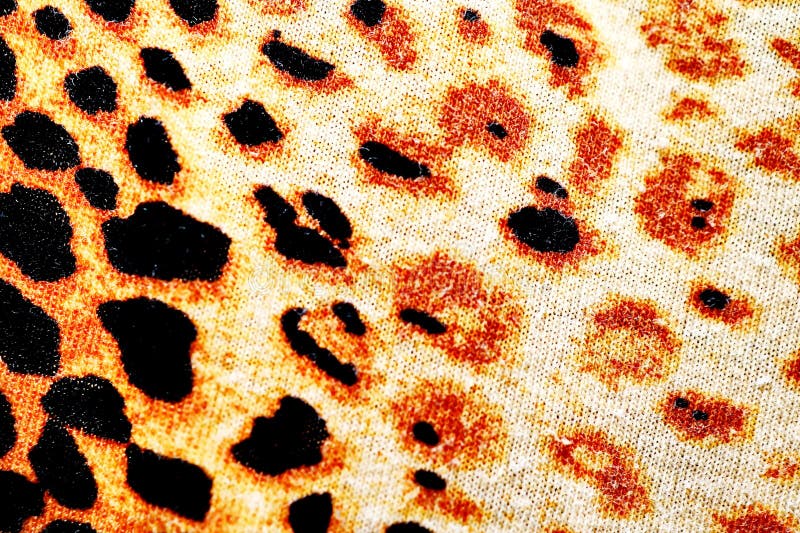 Various Types of Fabrics and Textile Products Used As a Base and ...