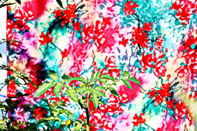 Various Types of Fabrics and Textile Products Used As a Base and ...