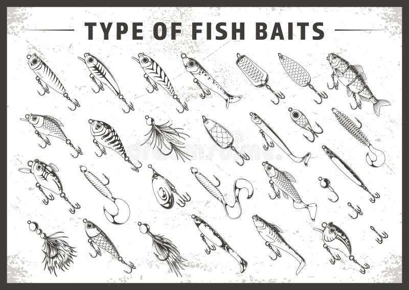 Various Types of Fish Baits for Anglers Stock Illustration ...