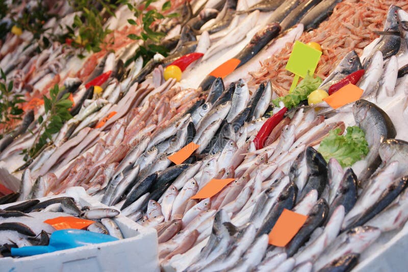 Various Types Of Fish On Display At Fish Market. Stock Photo - Image of ...