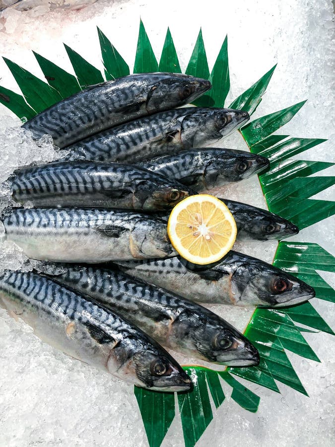 Various Types of Fresh Fish are in the Market Stock Image - Image of ...