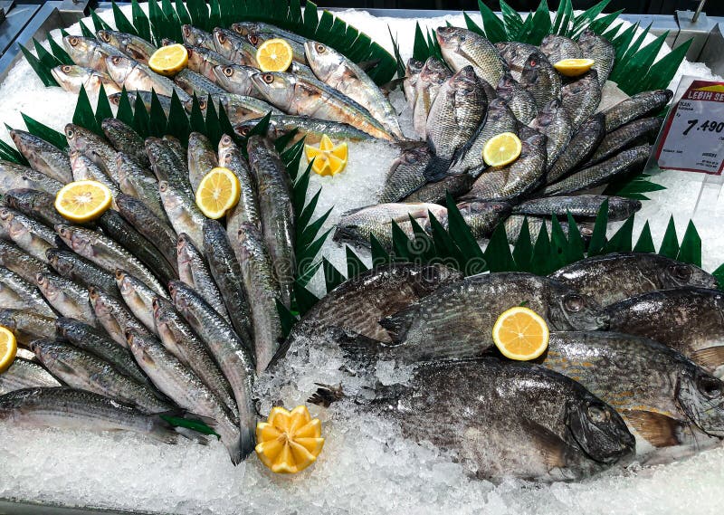 Various Types of Fresh Fish are on the Market Stock Image - Image of ...
