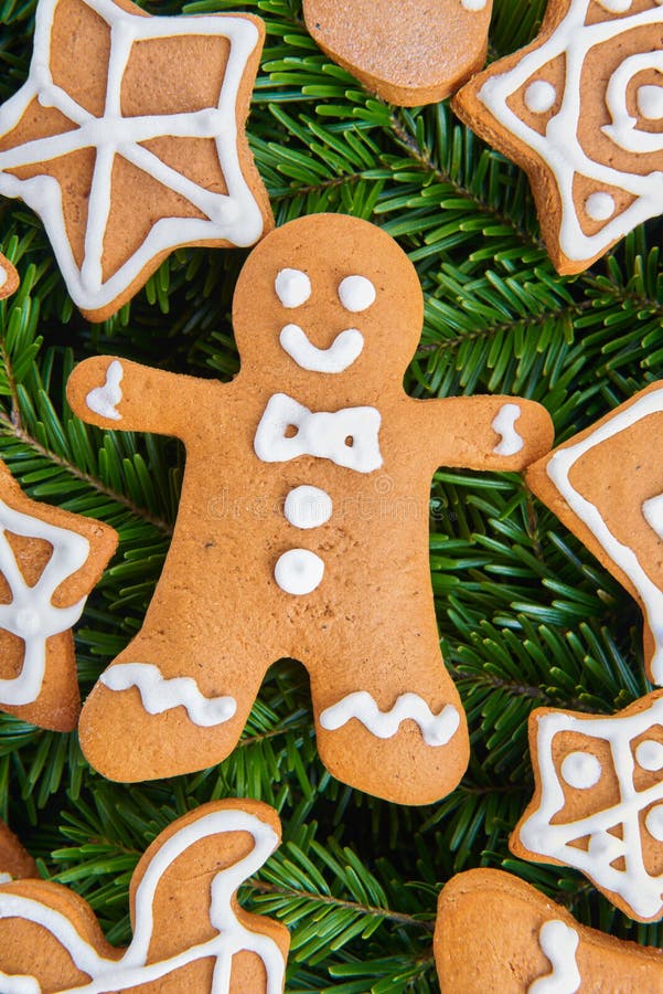 Various Types of Homemade Gingerbread Stock Photo - Image of delicious ...
