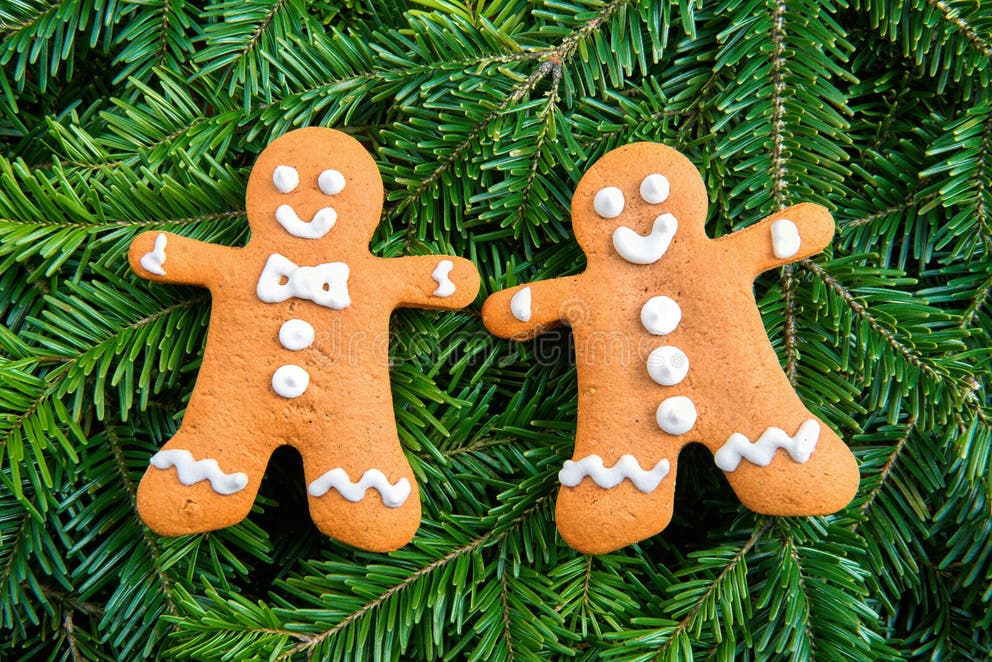 Various Types of Homemade Gingerbread Stock Image - Image of nutmeg ...