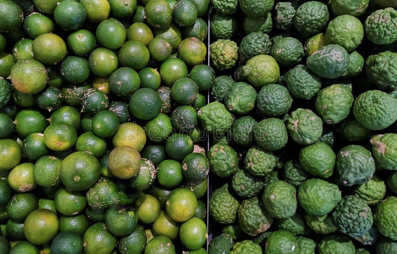 Food and objects stock image. Image of drink, objects - 264754513