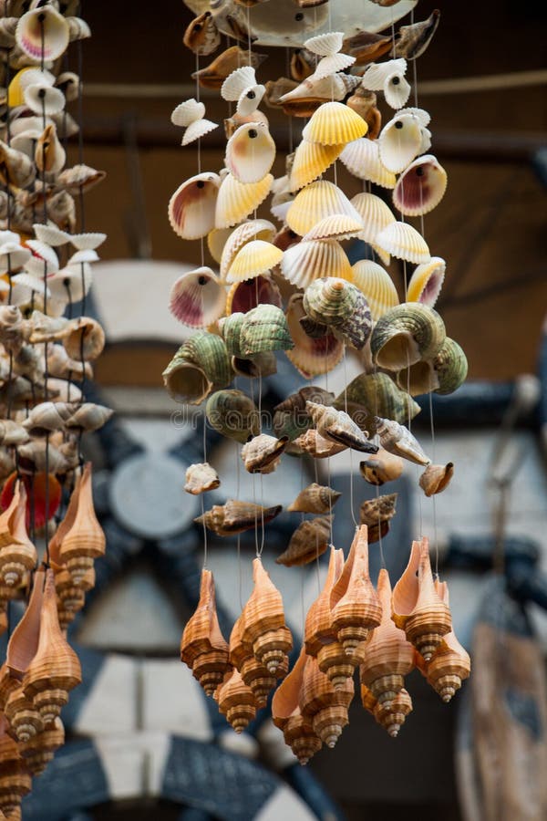 Various Types of Little Seashells Stock Photo - Image of design, summer ...