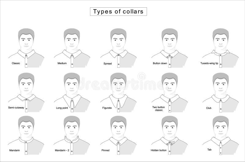 Types Collars Stock Illustrations – 32 Types Collars Stock ... Types Collars Stock Illustrations – 32 Types Collars Stock ...