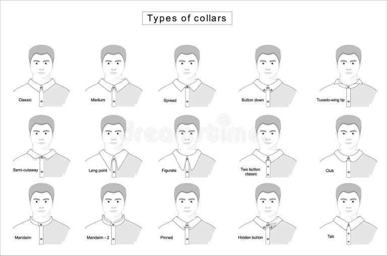 Types Collars Stock Illustrations 32 Types Collars Stock
