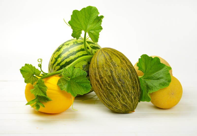 Melon Varieties stock photo. Image of wedge, slice, fruit - 23603382