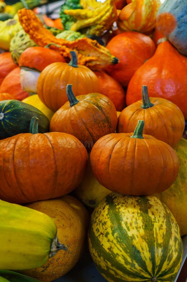 Various Types of Multi-colored Pumpkins Sold in the Bazaar. a Great ...