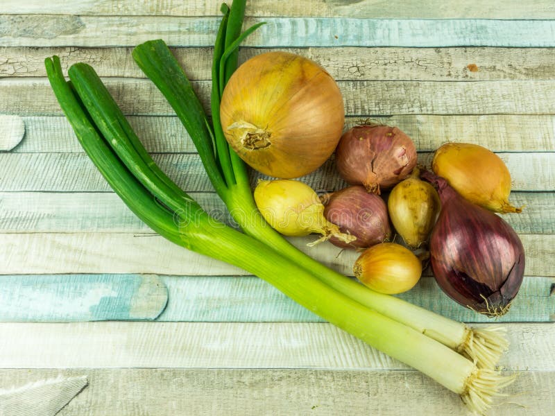 Various types of onions stock image. Image of onion, bulb - 90137859
