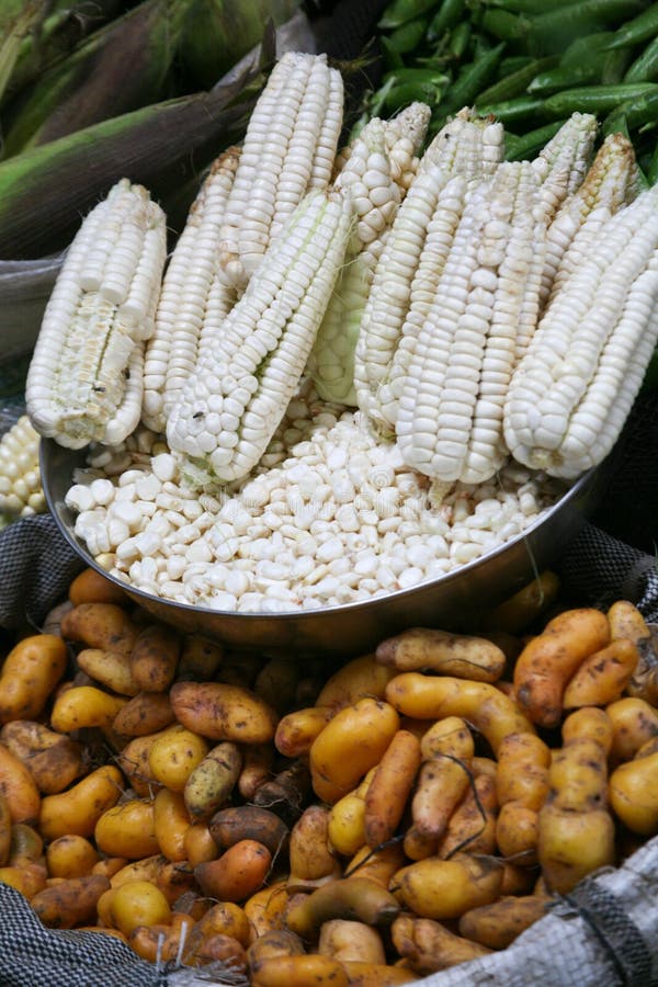 Various Types of Peruvian Potatoes and Corn in a Market Stock Photo ...