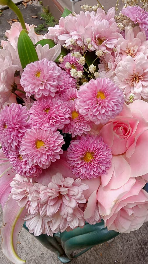 Various Types of Pink Flowers Stock Image - Image of pink, types: 392669013
