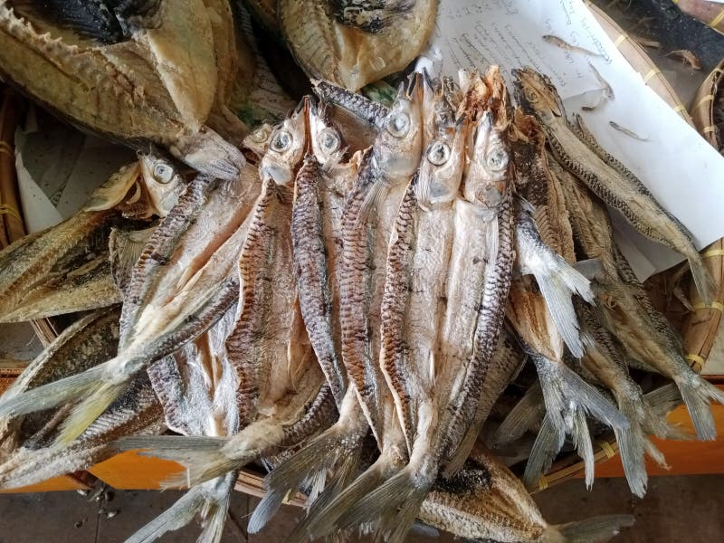 Various Types of Salted Fish Typical of Indonesia Stock Image - Image ...