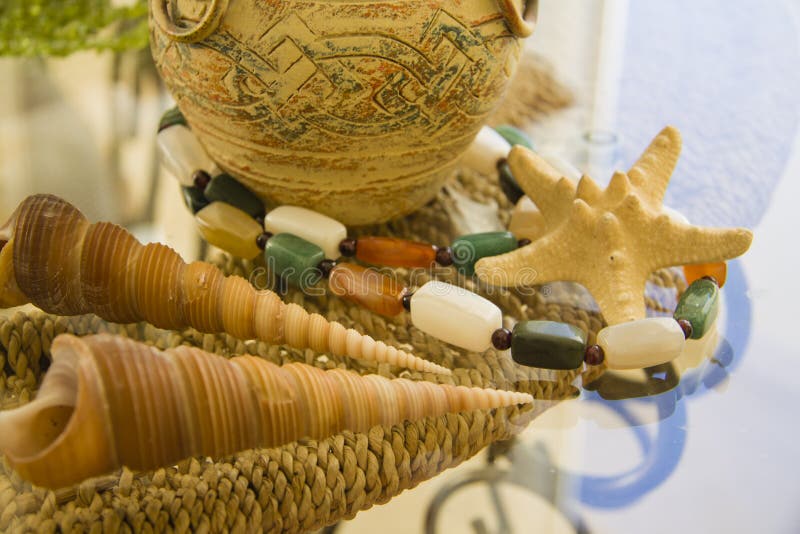 Various Types of Sea Shells and Ancient Vessel Stock Image - Image of ...