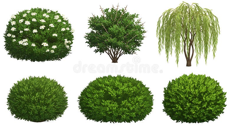 Various Types of Shrubs and Trees are Depicted. the Top Left Shows a ...