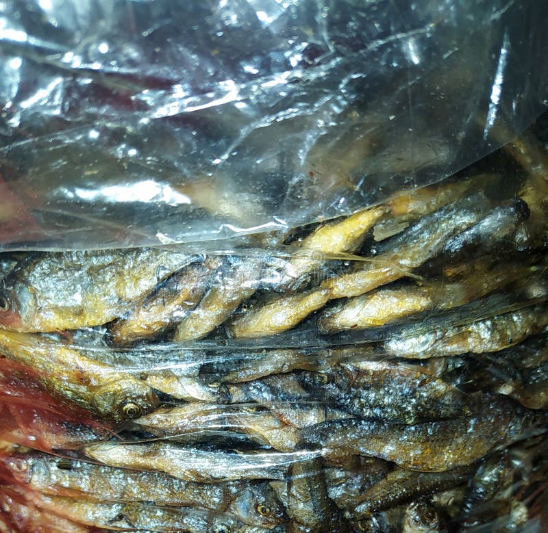 Various Types of Small Fish are Sold in Traditional Market Stock Photo ...