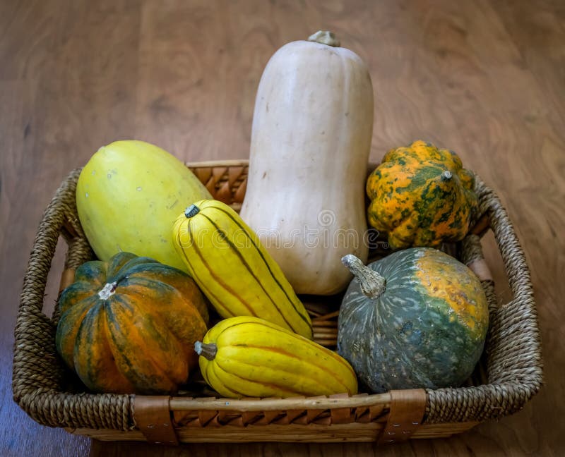 Harvest Squash on Display on Basket with Various Types Stock Image ...