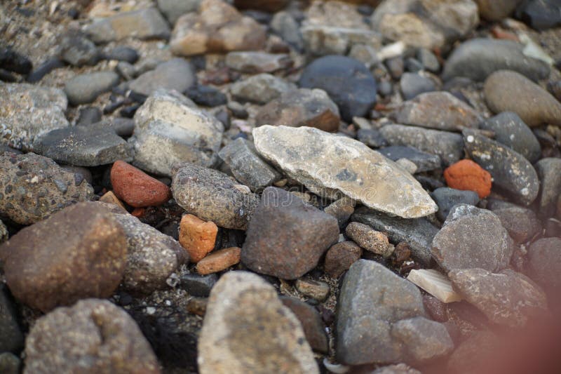 Various Types of Stones are on the Beach. Stock Photo - Image of ...