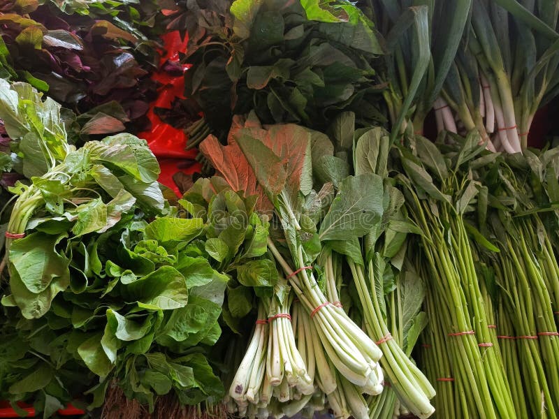 Various Types of Vegetables Sold in the Market Stock Image - Image of ...