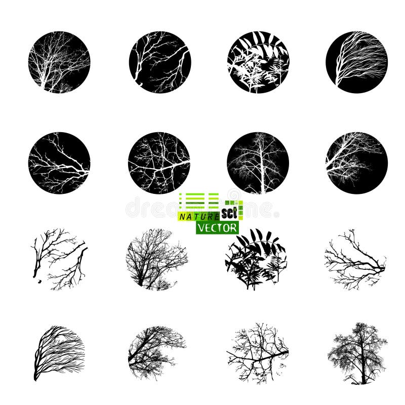 Objects Trees are Round. Tree Branch Tracing. Vector Illustration Stock ...