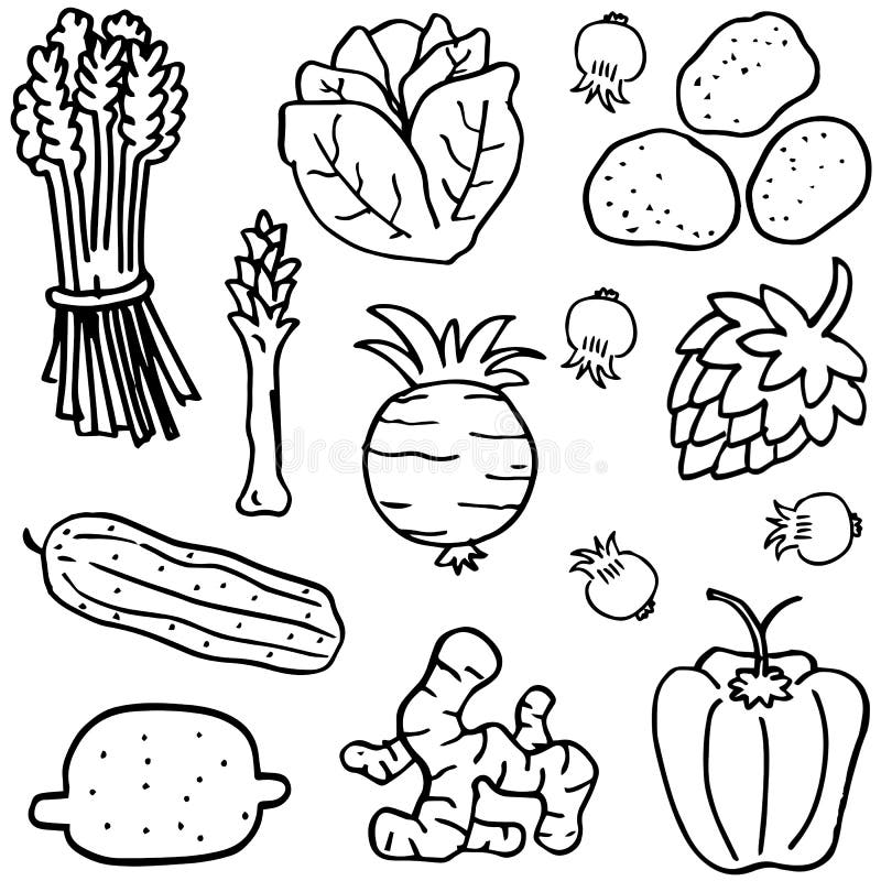 Set of Vegetable Hand Draw Doodles Stock Vector - Illustration of ...