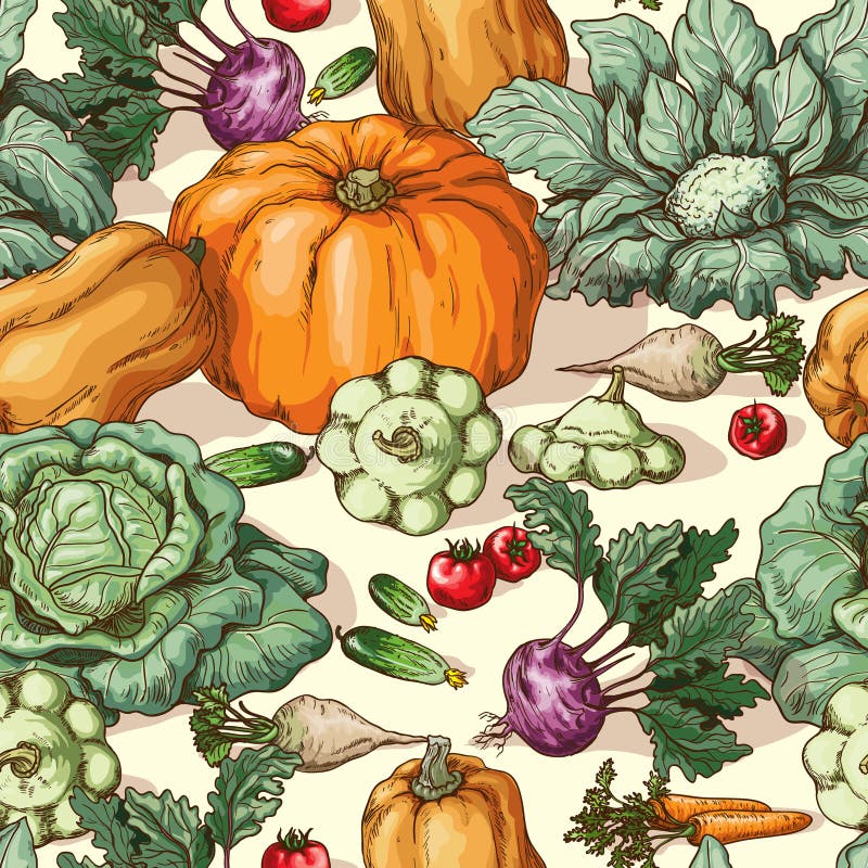 Sketch of Vegetables Set stock vector. Illustration of healthy - 55390381