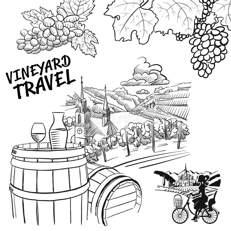 Various Vineyard Travel Concept Sketches Stock Vector - Illustration of ...