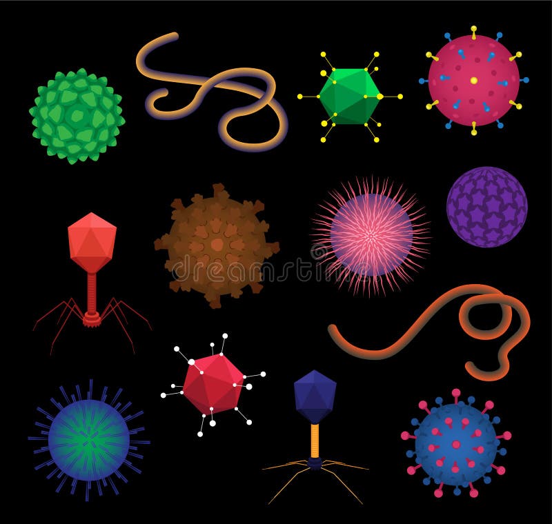 Various Virus Shapes Cartoon Vector Illustration Stock Vector ...