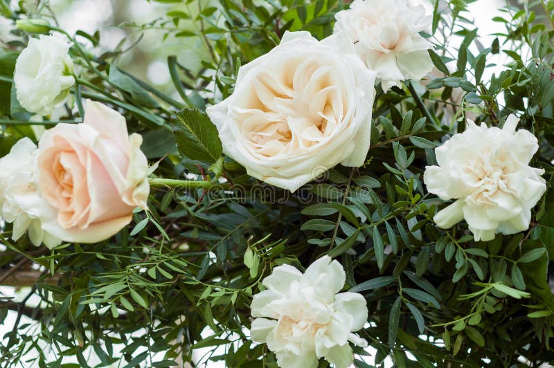 Various White Roses in Flower Arrangement Stock Image - Image of season ...