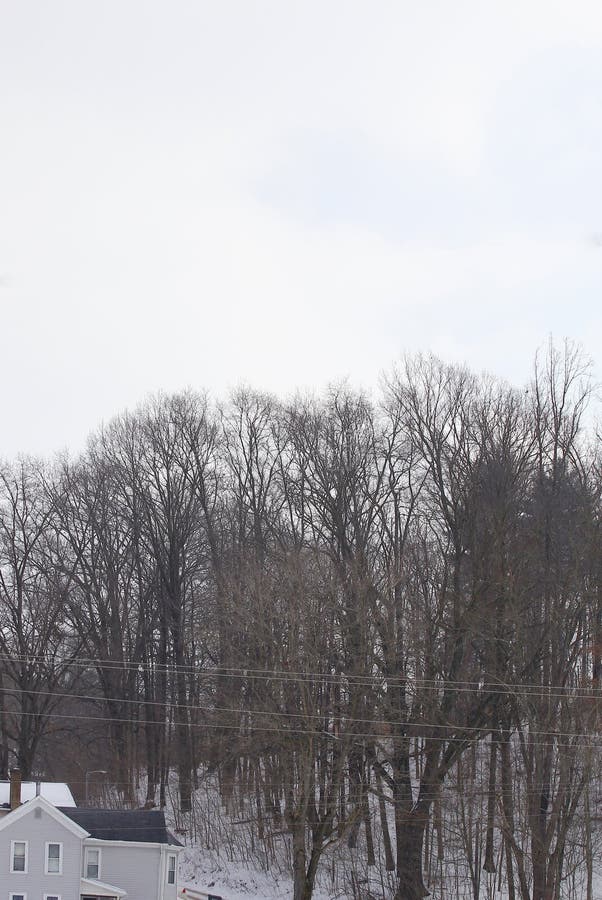 Various Winter Scenes Outdoors, Ohio Stock Photo - Image of cold ...