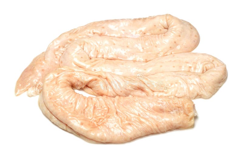 Varken, darmen stock foto. Image of voedsel, gekookt - 105209202