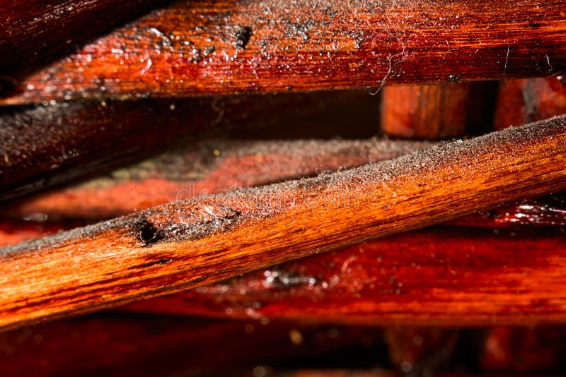 Varnished Wooden Surface in Dust Macro Stock Image - Image of branch ...